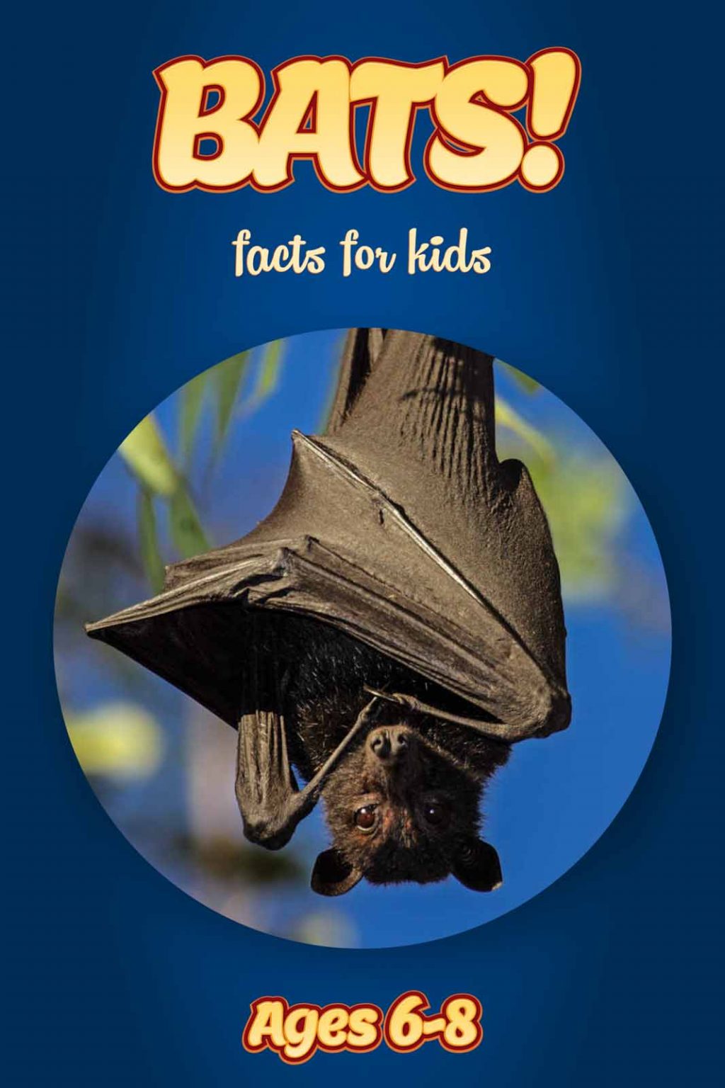 Bat Facts Kids – Non Fiction Book Ages (6-8) – clouducated