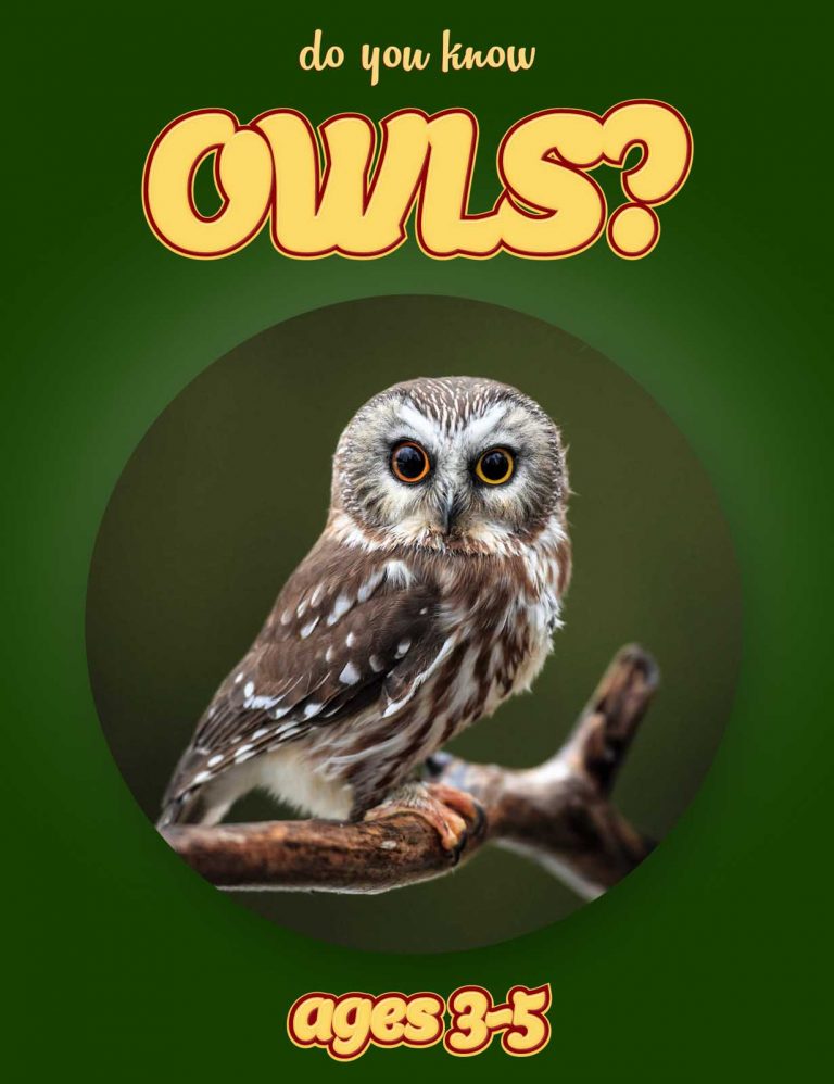Owl Facts For Kids Ages 3-5 “Do You Know Owls?” Non Fiction Picture ...