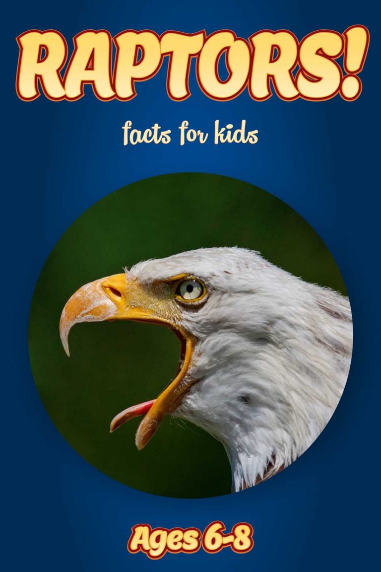 Raptor Facts – Kids Non Fiction Book (Ages 6-8) – clouducated